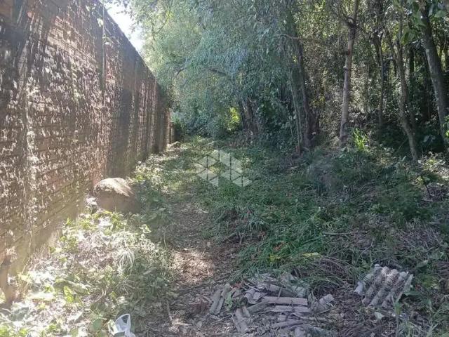 Terreno / Lote para Venda em Porto Alegre/RS Tristeza