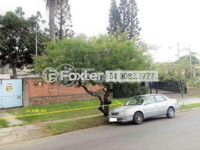 Terreno / Lote para Venda em Porto Alegre/RS Tristeza