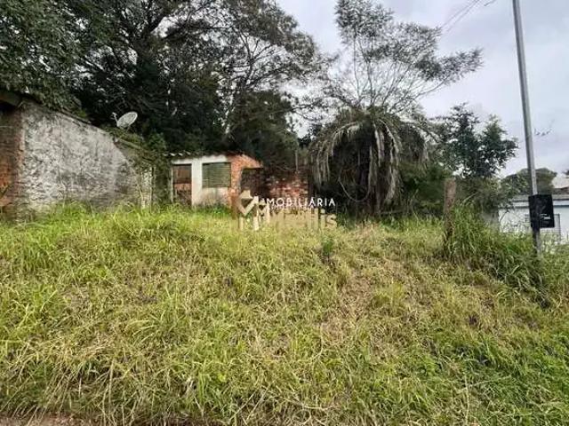 Terreno / Lote para Venda em Porto Alegre/RS Vila Nova