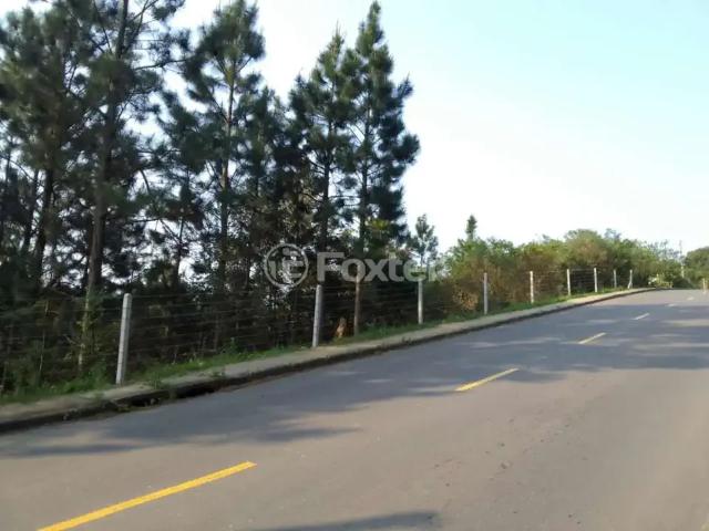 Terreno / Lote para Venda em Porto Alegre/RS Vila Nova
