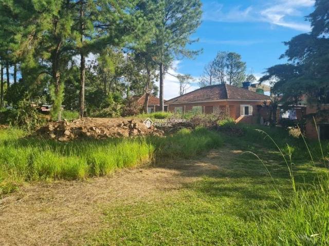 Terreno / Lote para Venda em Porto Alegre/RS Vila Nova