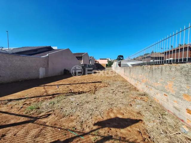 Terreno / Lote para Venda em Porto Alegre/RS Vila Nova