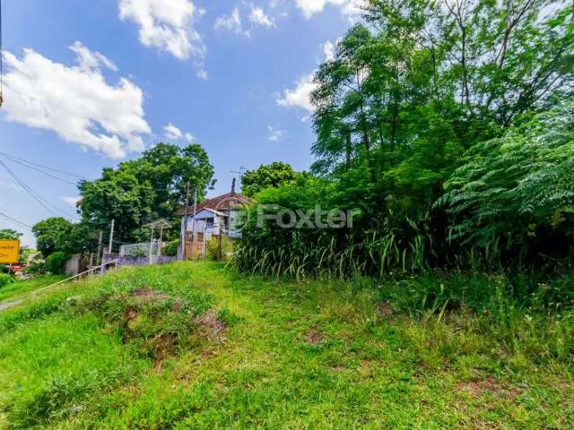 Terreno / Lote para Venda em Porto Alegre/RS Vila Nova