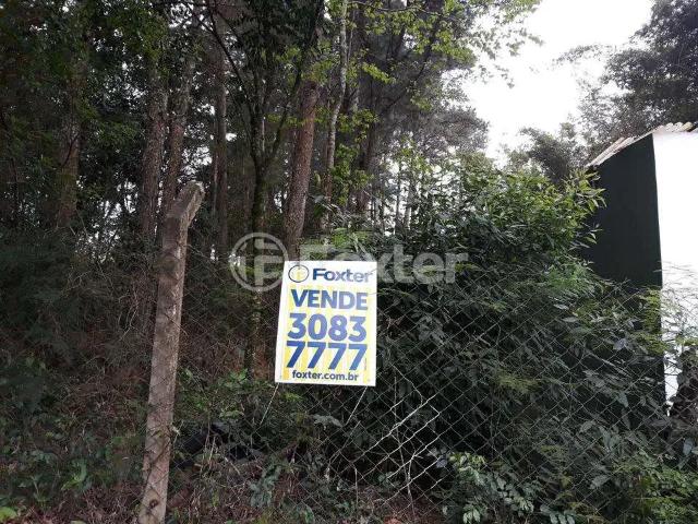 Terreno / Lote para Venda em Porto Alegre/RS Vila Nova