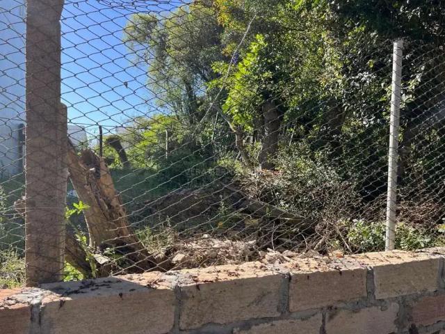 Terreno / Lote para Venda em Porto Alegre/RS Vila Assunção