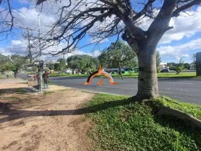 Terreno / Lote para Venda em Porto Alegre/RS Vila Jardim