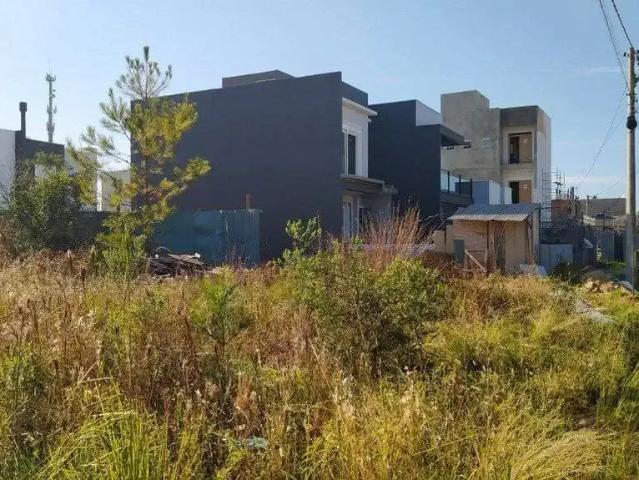 Terreno / Lote para Venda em Porto Alegre/RS Aberta dos Morros