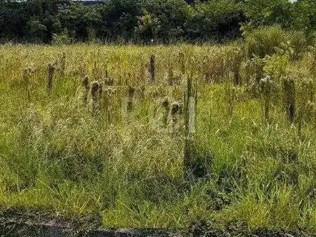 Terreno / Lote para Venda em Porto Alegre/RS Aberta dos Morros