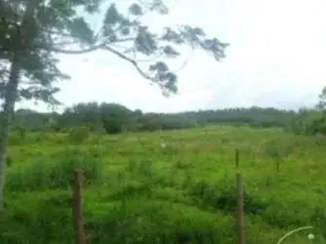 Terreno / Lote para Venda em Porto Alegre/RS Aberta dos Morros