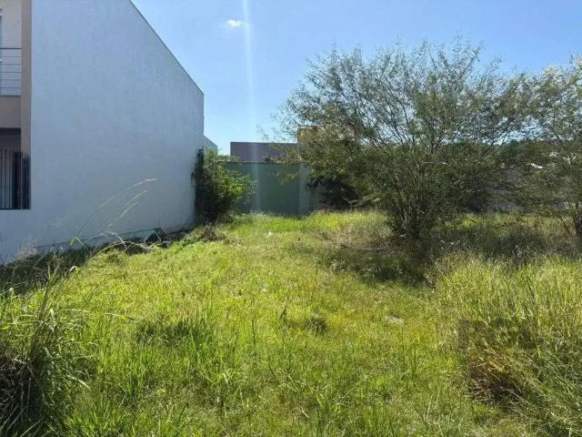 Terreno / Lote para Venda em Porto Alegre/RS Aberta dos Morros