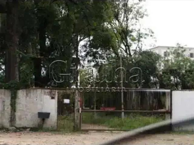 Terreno / Lote para Venda em Porto Alegre/RS Alto Petrópolis