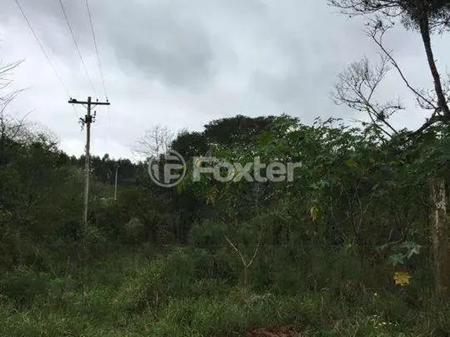 Terreno / Lote para Venda em Porto Alegre/RS Belém Velho