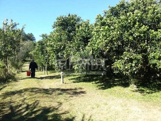 Terreno / Lote para Venda em Porto Alegre/RS Belém Velho