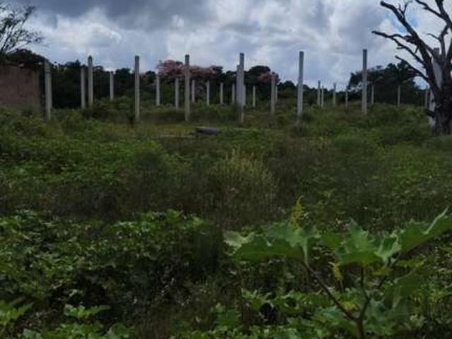 Terreno / Lote para Venda em Porto Alegre/RS Belém Velho