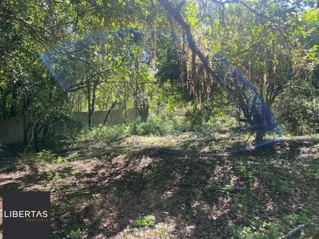 Terreno / Lote para Venda em Porto Alegre/RS Belém Velho