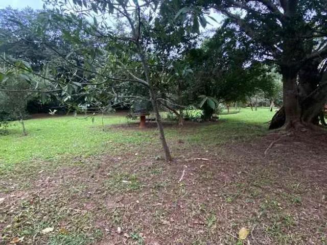 Terreno / Lote para Venda em Porto Alegre/RS Belém Velho