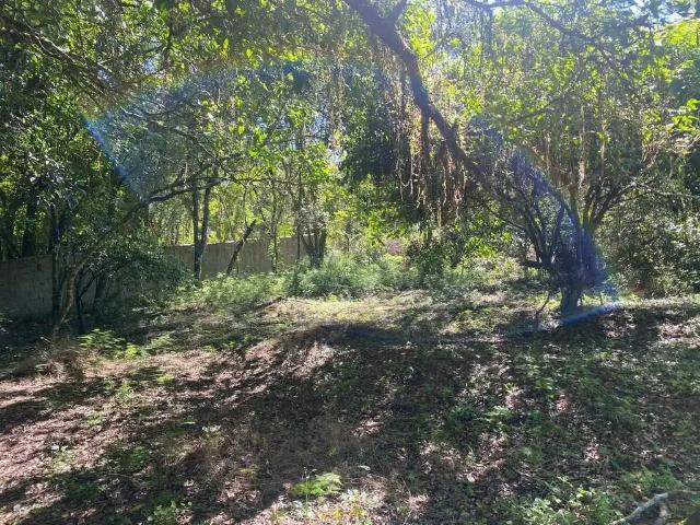 Terreno / Lote para Venda em Porto Alegre/RS Belém Velho