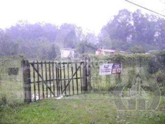 Terreno / Lote para Venda em Porto Alegre/RS Belém Velho