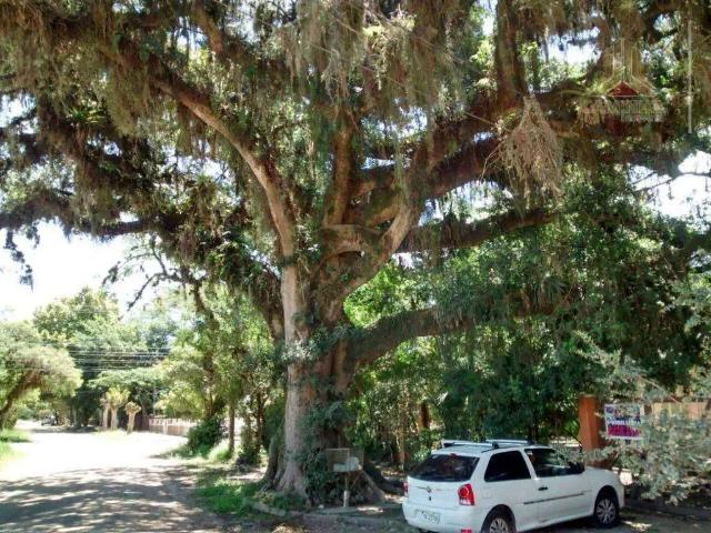 Terreno / Lote para Venda em Porto Alegre/RS Belém Novo
