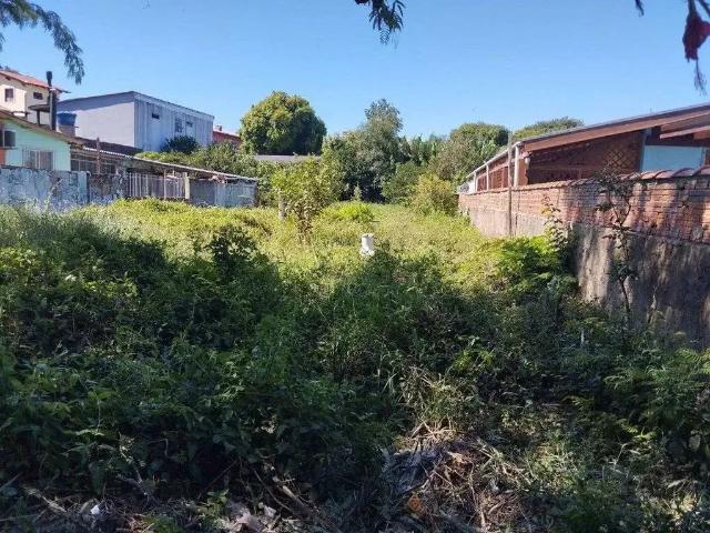Terreno / Lote para Venda em Porto Alegre/RS Belém Novo