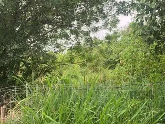 Terreno / Lote para Venda em Porto Alegre/RS Belém Novo