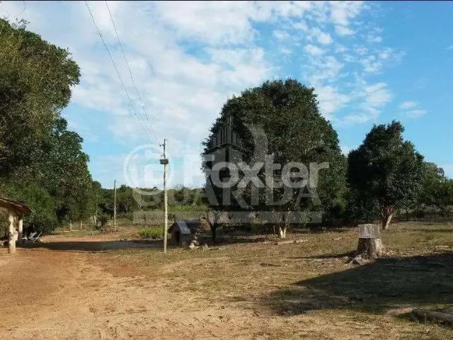 Terreno / Lote para Venda em Porto Alegre/RS Belém Novo