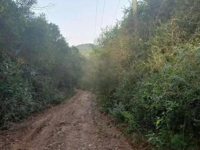 Terreno / Lote para Venda em Porto Alegre/RS Belém Novo