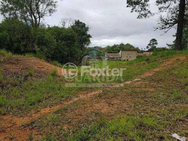 Terreno / Lote para Venda em Porto Alegre/RS Belém Novo