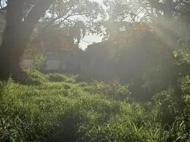 Terreno / Lote para Venda em Porto Alegre/RS Belém Novo