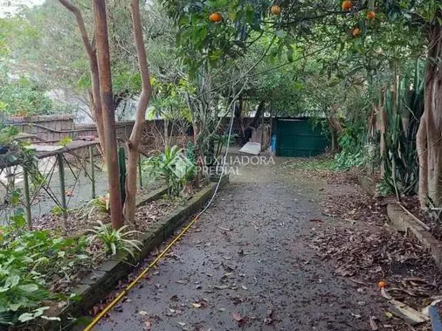 Terreno / Lote para Venda em Porto Alegre/RS Bom Jesus