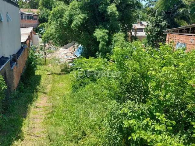 Terreno / Lote para Venda em Porto Alegre/RS Bom Jesus