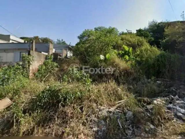 Terreno / Lote para Venda em Porto Alegre/RS Bom Jesus