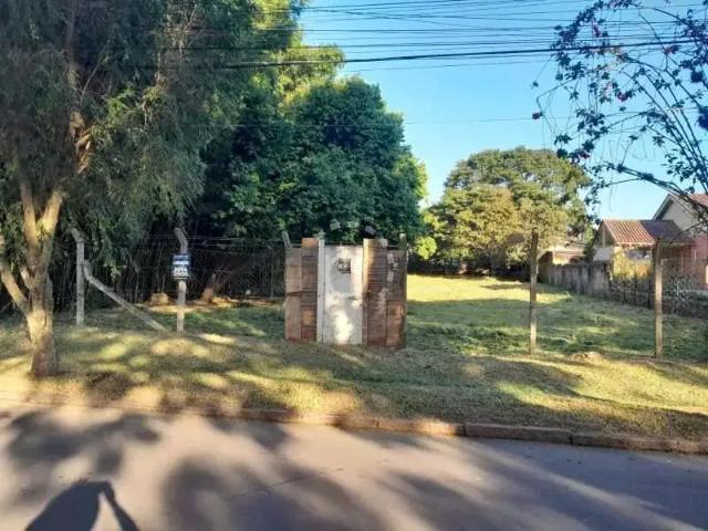 Terreno / Lote para Venda em Porto Alegre/RS Camaquã