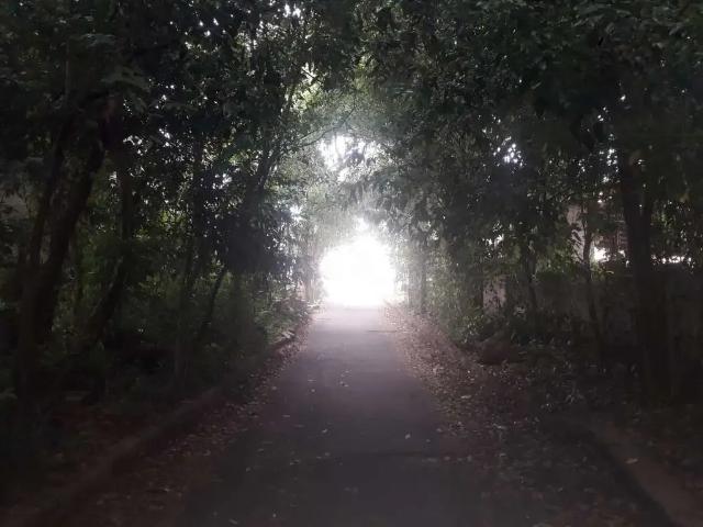 Terreno / Lote para Venda em Porto Alegre/RS Camaquã