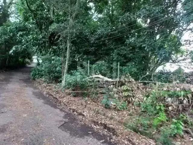 Terreno / Lote para Venda em Porto Alegre/RS Camaquã