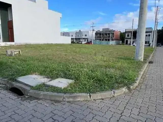 Terreno / Lote para Venda em Porto Alegre/RS Campo Novo