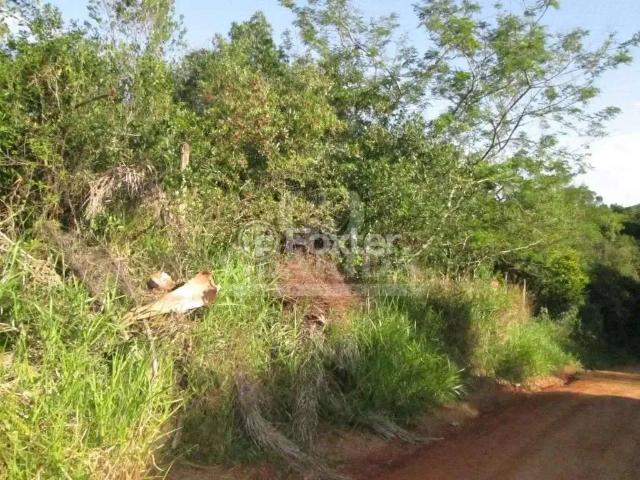 Terreno / Lote para Venda em Porto Alegre/RS Campo Novo