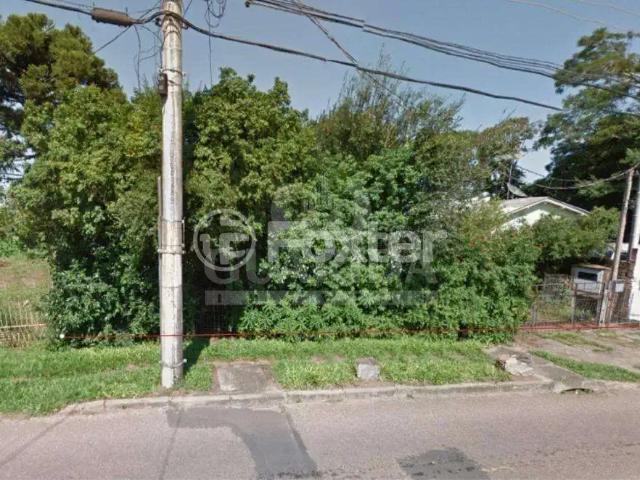 Terreno / Lote para Venda em Porto Alegre/RS Cavalhada