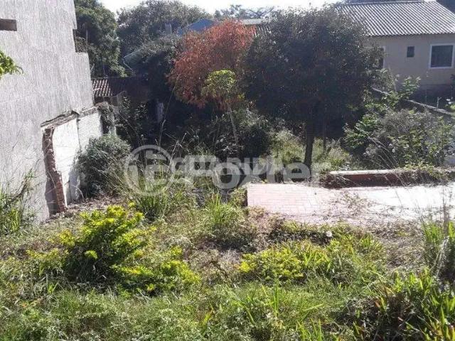 Terreno / Lote para Venda em Porto Alegre/RS Chácara das Pedras