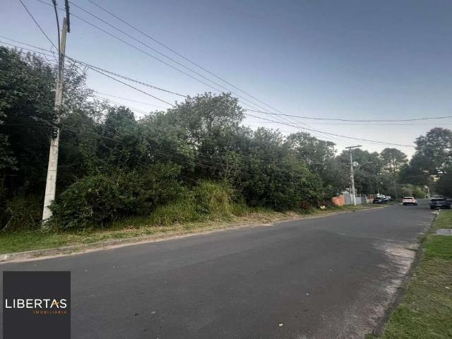 Terreno / Lote para Venda em Porto Alegre/RS Chapéu do Sol