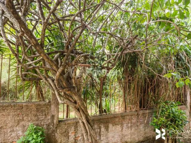 Terreno / Lote para Venda em Porto Alegre/RS Cristal