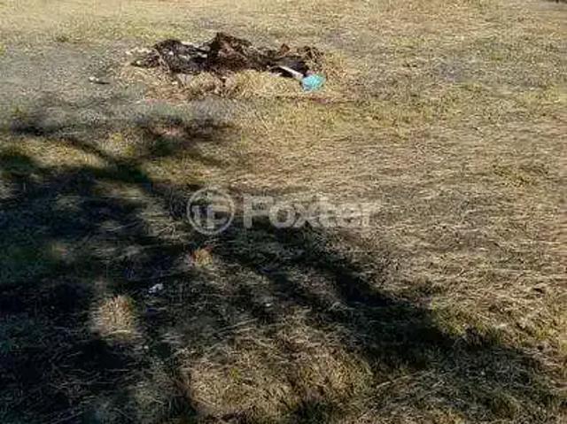 Terreno / Lote para Venda em Porto Alegre/RS Cristal