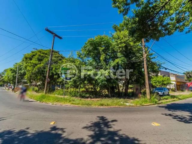 Terreno / Lote para Venda em Porto Alegre/RS Cristal