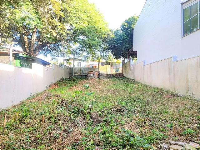 Terreno / Lote para Venda em Porto Alegre/RS Espírito Santo