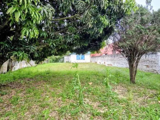 Terreno / Lote para Venda em Porto Alegre/RS Espírito Santo