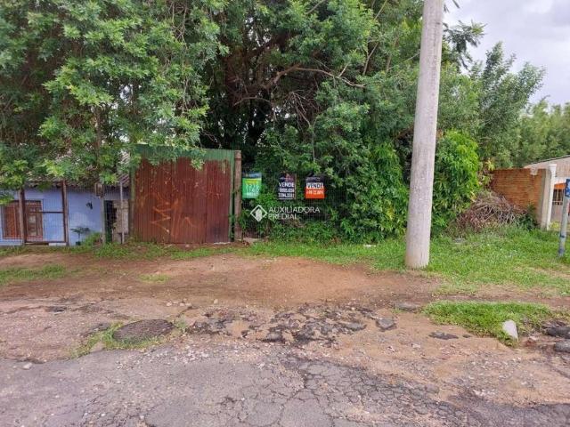 Terreno / Lote para Venda em Porto Alegre/RS Espírito Santo