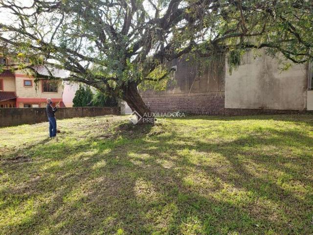 Terreno / Lote para Venda em Porto Alegre/RS Espírito Santo
