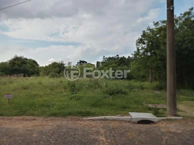 Terreno / Lote para Venda em Porto Alegre/RS Espírito Santo