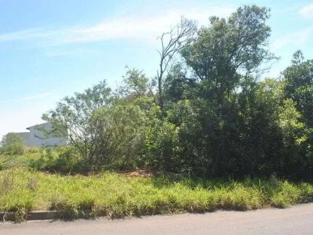 Terreno / Lote para Venda em Porto Alegre/RS Espírito Santo