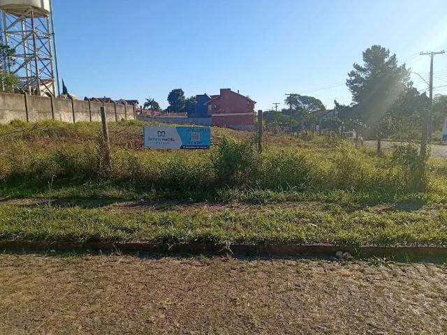Terreno / Lote para Venda em Porto Alegre/RS Espírito Santo